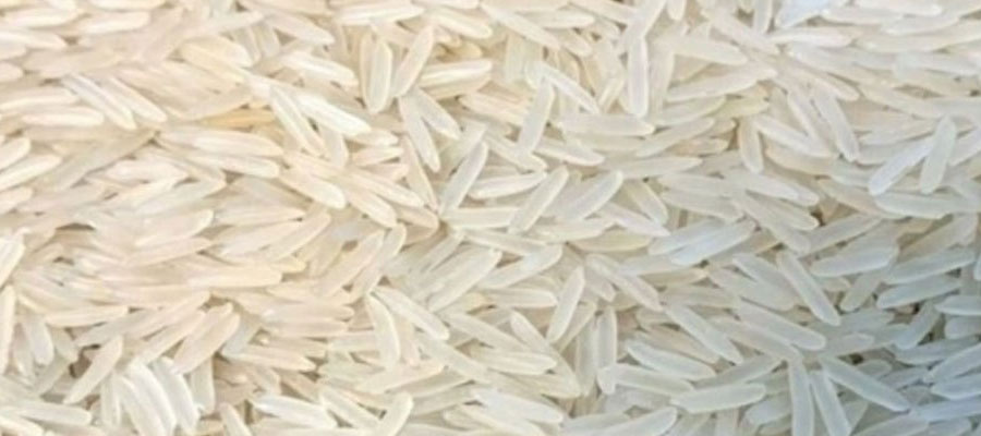 Sharbati Raw Basmati Rice - Indus Agro Commodities