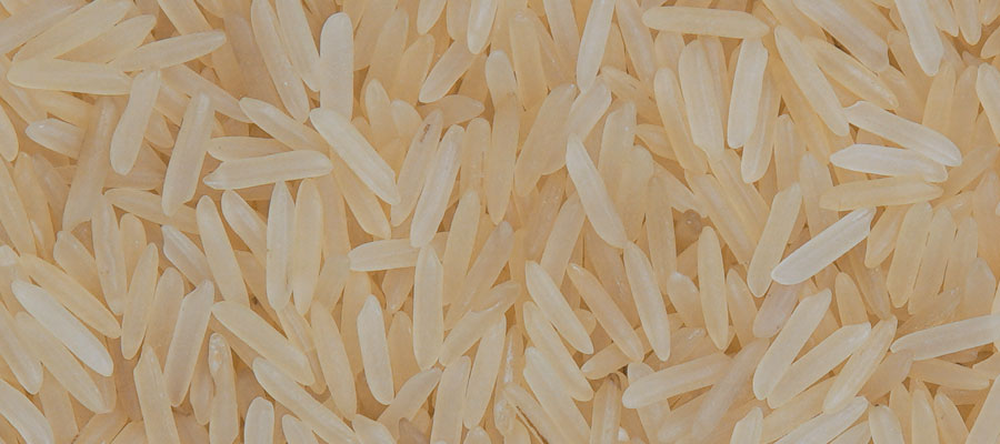 Sugandha Golden Parboiled Basmati Rice - Indus Agro Commodities